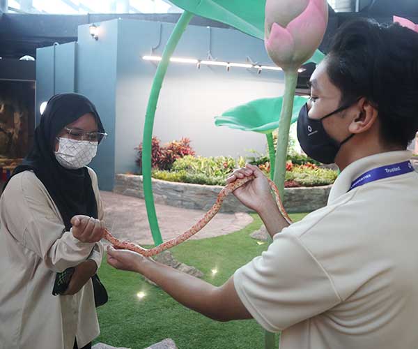 Bean Sprout Planting – IOI City Farm